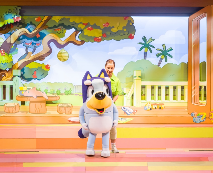 Bluey's Big Play