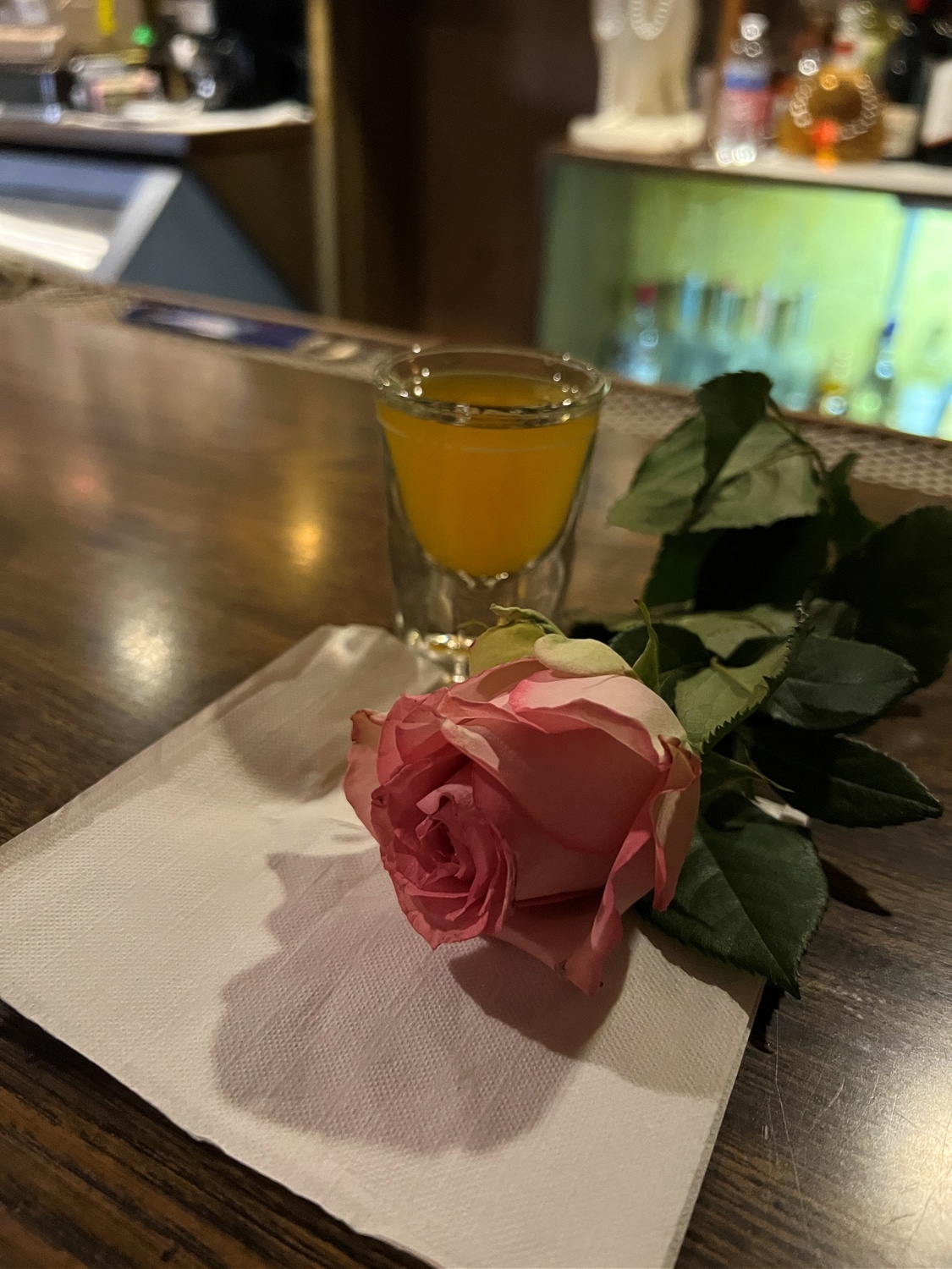 Dixie Longate and Dive Bars in Denver