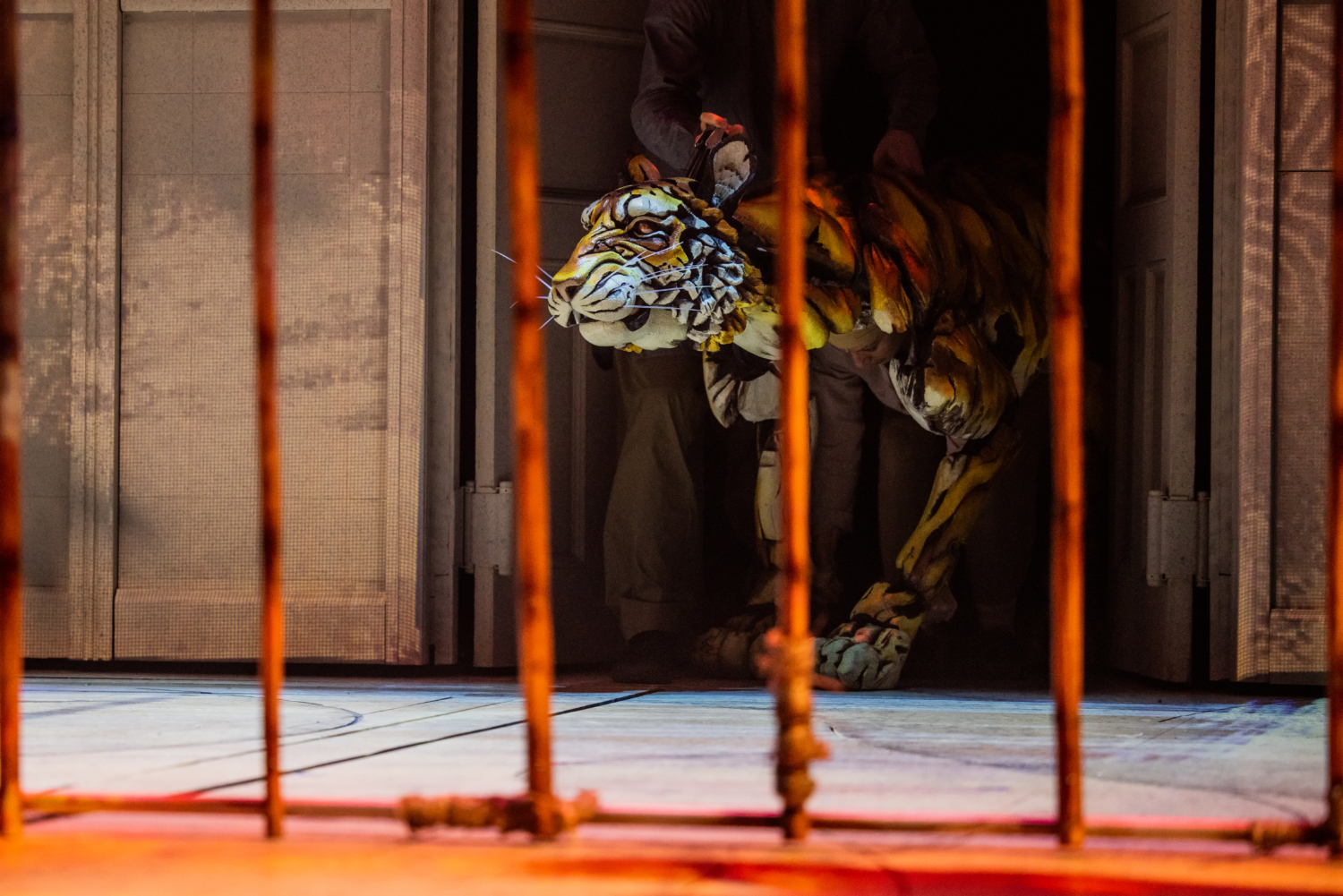 Official Life of Pi Tickets - Buell Theatre Denver - DCPA