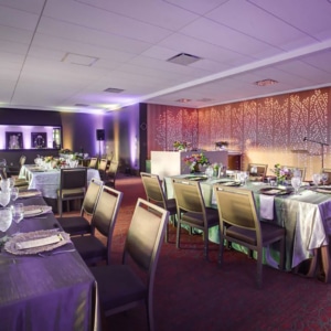 DCPA Event Venues and Services