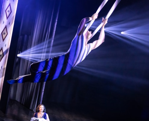 Official Water for Elephants Tickets - BuellTheatre Denver - DCPA