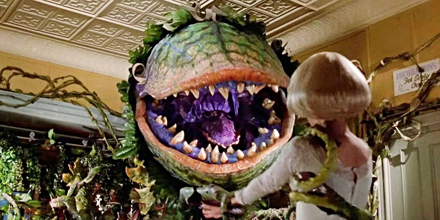 Blood and Power: The Seductive Hungers in Little Shop of Horrors ...