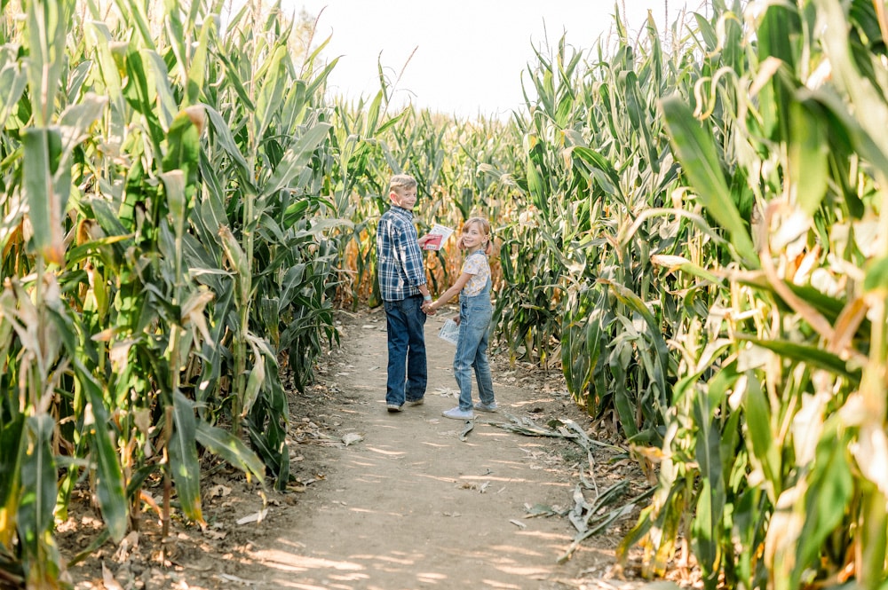 12 Fall Festivals to Enjoy in Colorado